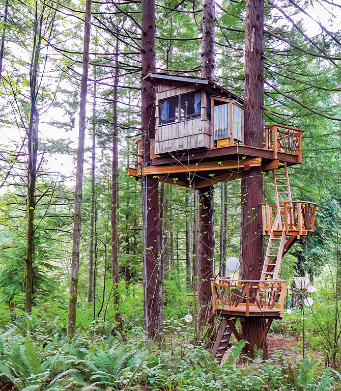 Ground Level Tree Houses