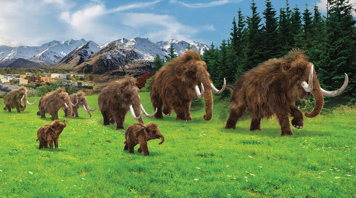 Woolly Mammoth Sightings Scientists Finally Solve The Mystery Of
