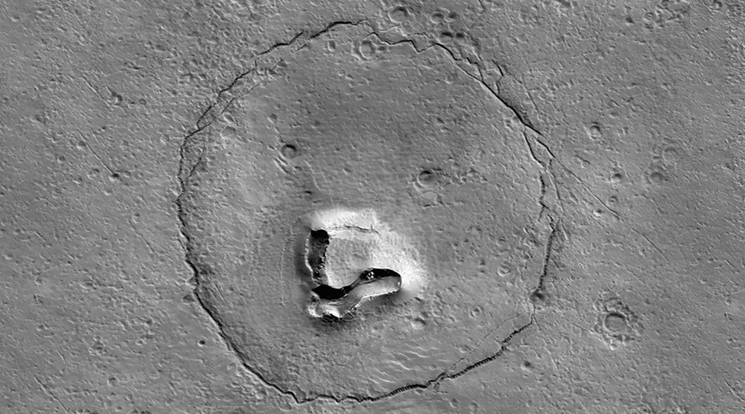 A Bear On Mars?