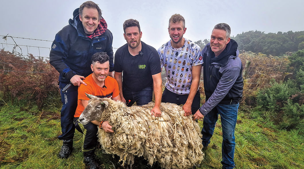 The Great Sheep Rescue