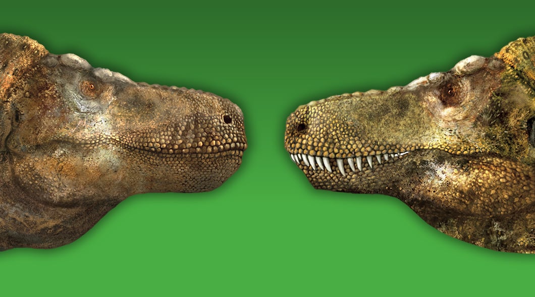 Did Dinos Have Lips?